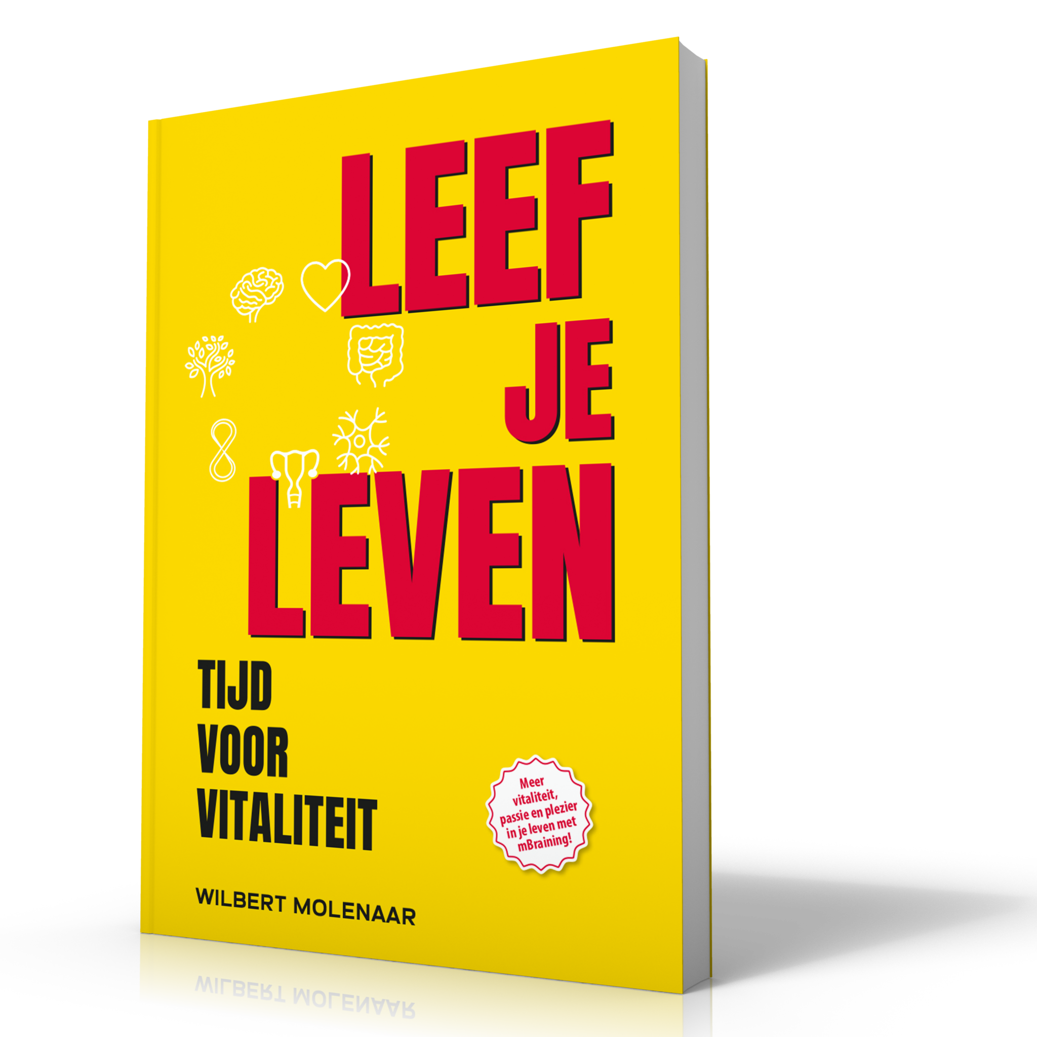Workshop Leef je Leven - mBraining Nederland